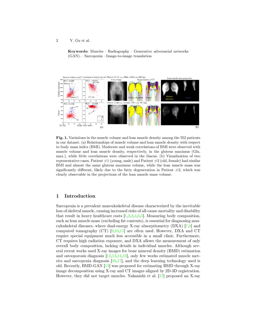 Mskdex Musculoskeletal Msk Decomposition From An X Ray Image For Fine Grained Estimation Of