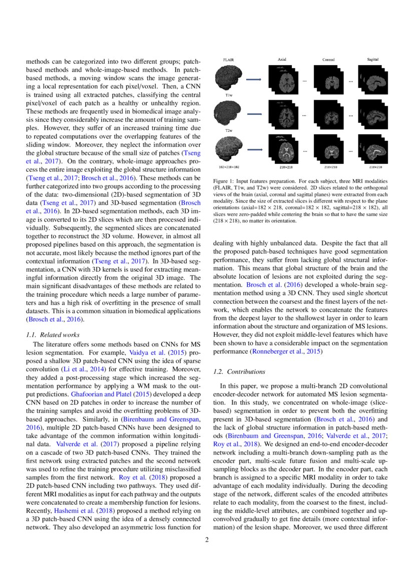Multi-branch Convolutional Neural Network for Multiple Sclerosis Lesion Segmentation | DeepAI