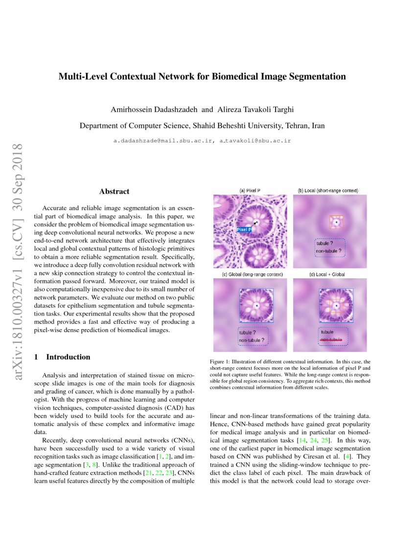 Multi-Level Contextual Network for Biomedical Image Segmentation | DeepAI