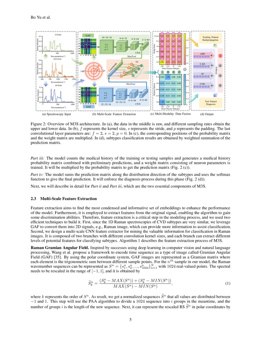 Multi Modality Multi Scale Cardiovascular Disease Subtypes