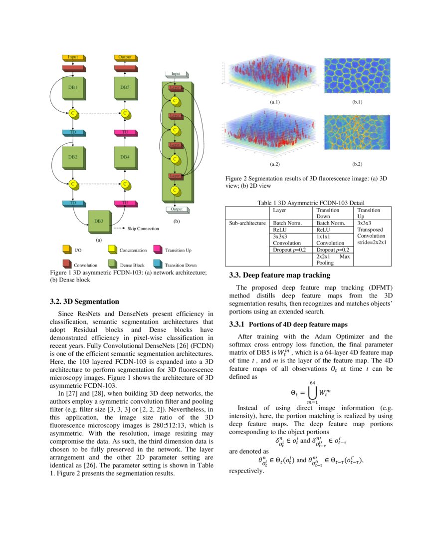 Multi Object Portion Tracking In 4d Fluorescence Microscopy Imagery With Deep Feature Maps Deepai