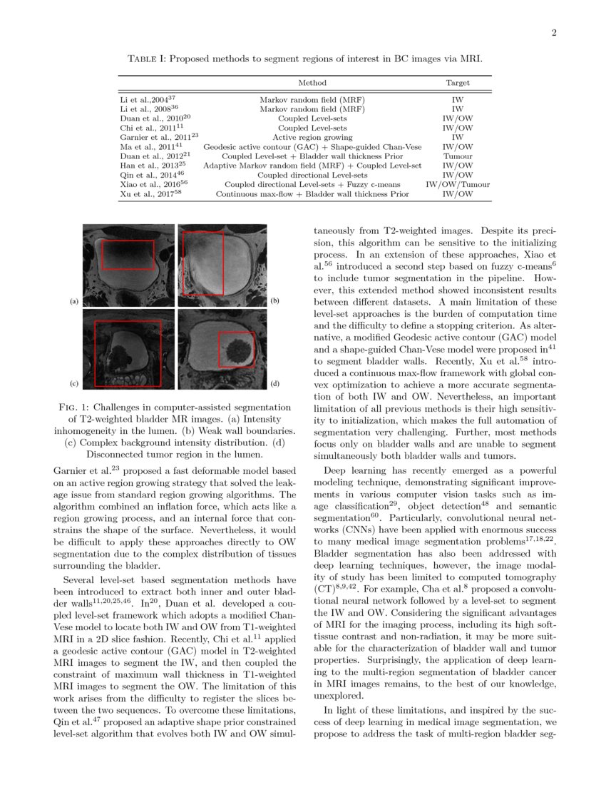 Multi-region segmentation of bladder cancer structures in MRI with progressive dilated ...