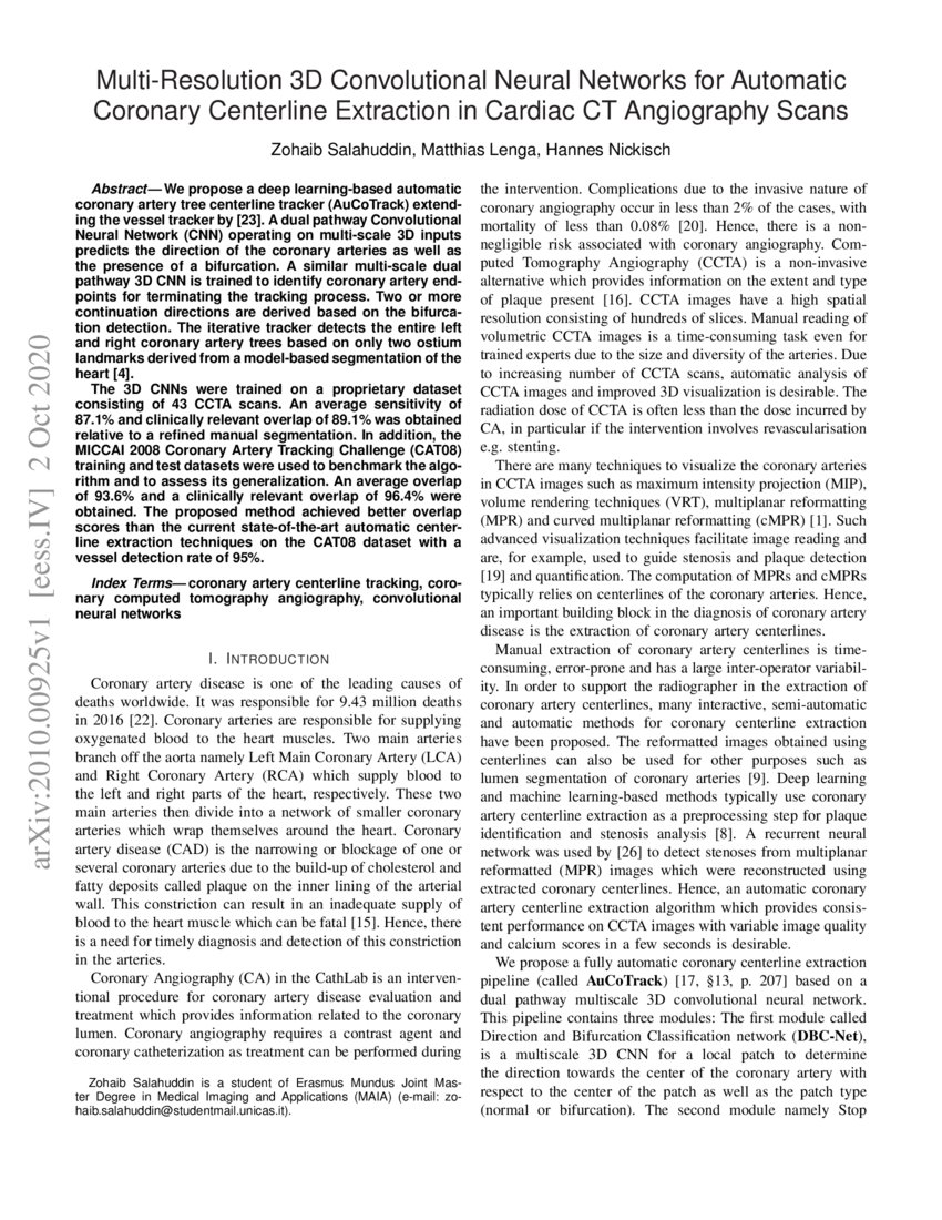 Multi Resolution 3d Convolutional Neural Networks For Automatic