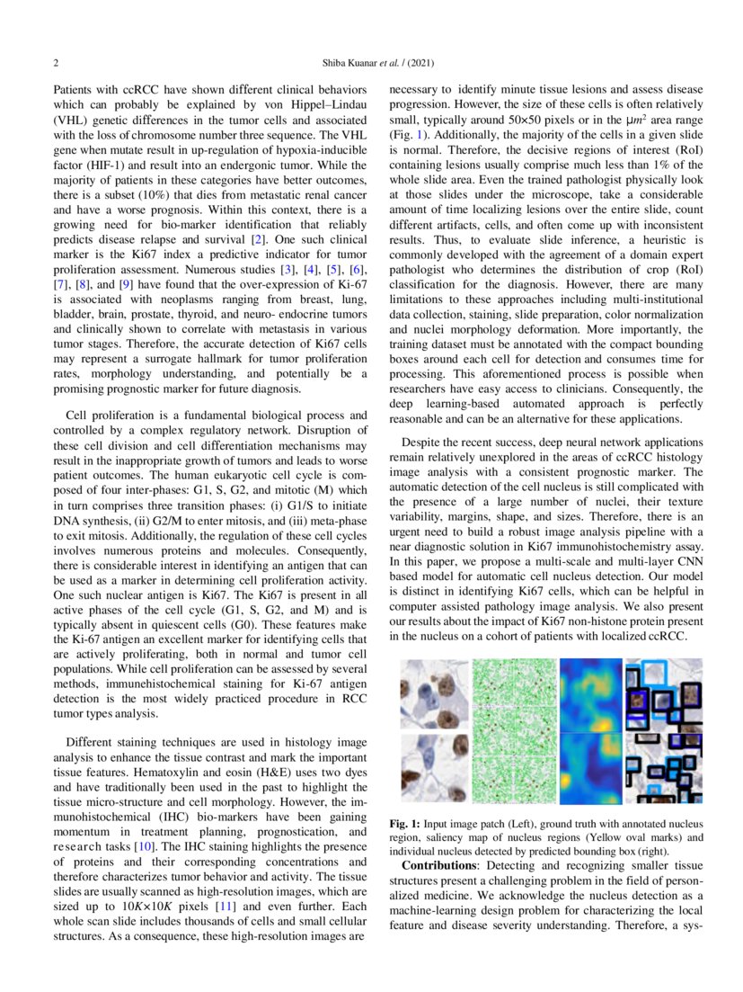 Multi-scale Deep Learning Architecture for Nucleus Detection in Renal Cell Carcinoma Microscopy ...