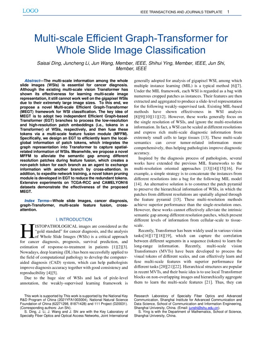 Multi Scale Efficient Graph Transformer For Whole Slide Image Classification Deepai