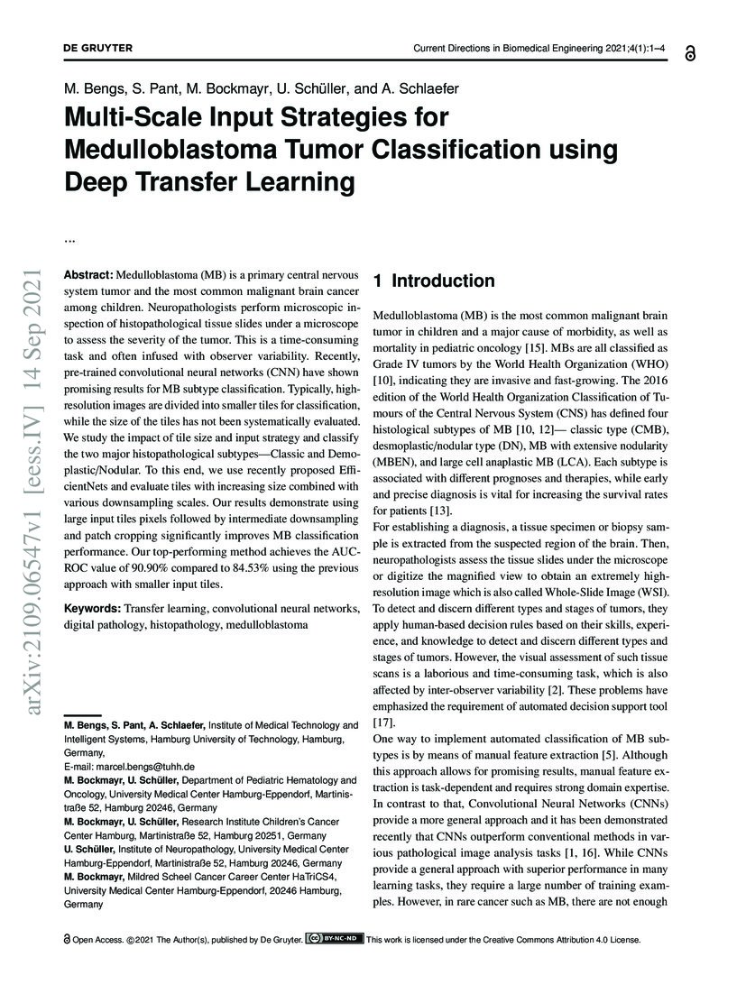 Multi-Scale Input Strategies for Medulloblastoma Tumor Classification ...