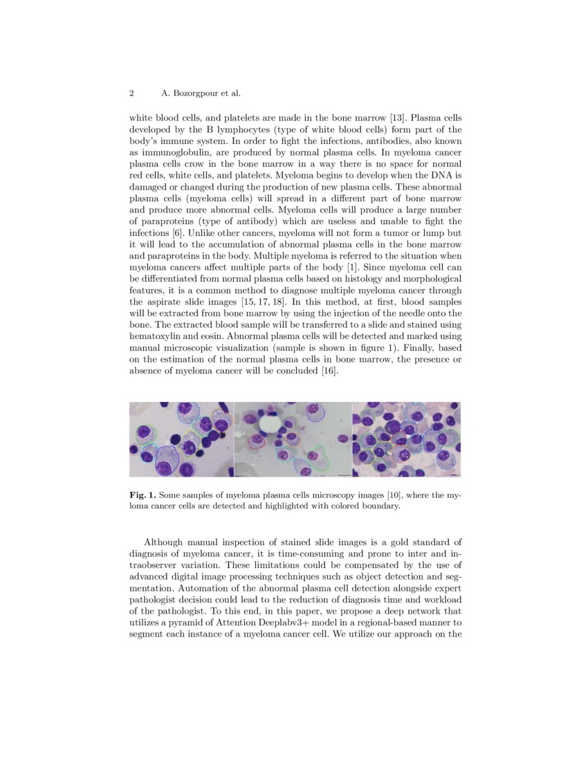 Multi-scale Regional Attention Deeplab3+: Multiple Myeloma Plasma Cells Segmentation in ...