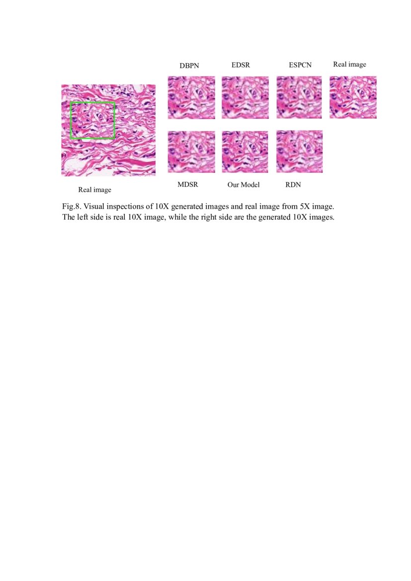 Multi-scale super-resolution generation of low-resolution scanned pathological images | DeepAI