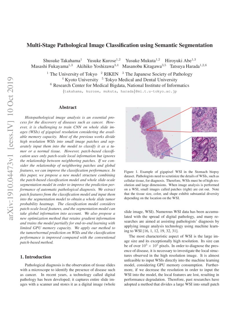 Multi-Stage Pathological Image Classification using Semantic ...