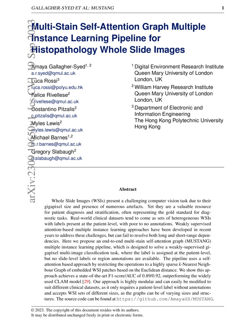 Multi Stain Self Attention Graph Multiple Instance Learning Pipeline For Histopathology Whole