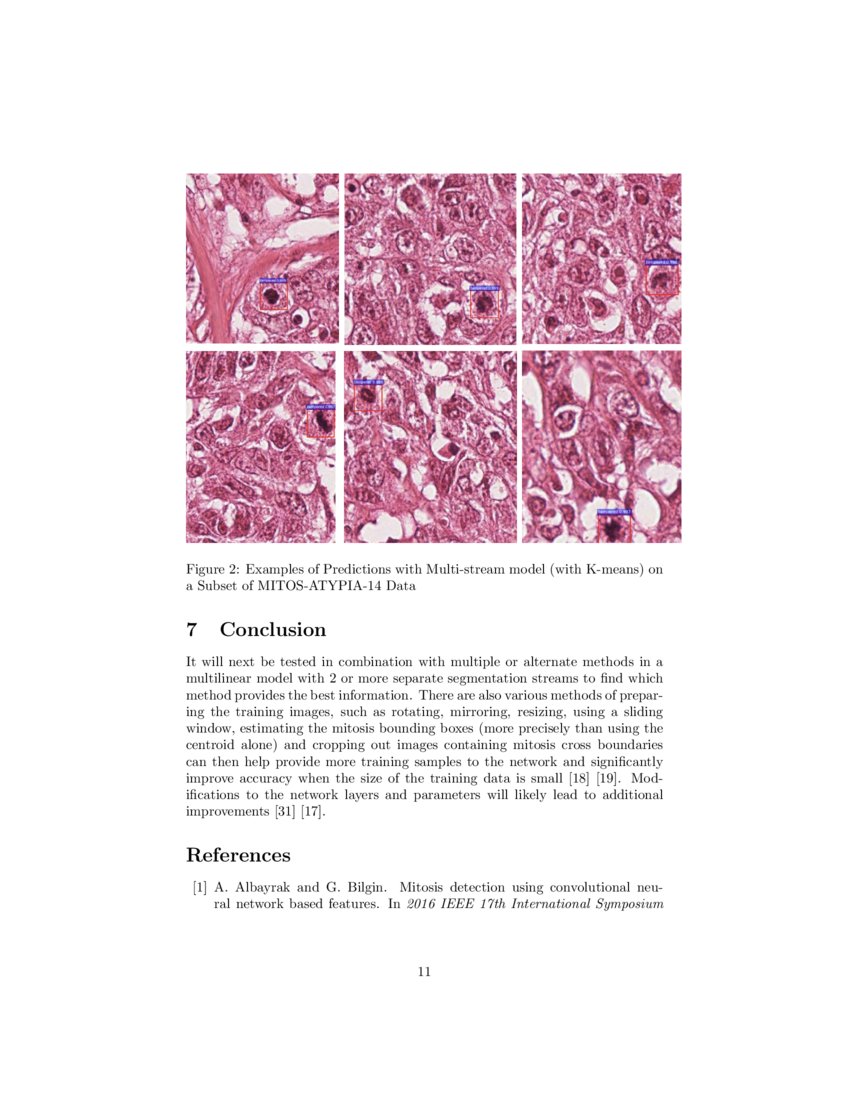 Multi Stream Faster Rcnn For Mitosis Counting In Breast Cancer Images Deepai
