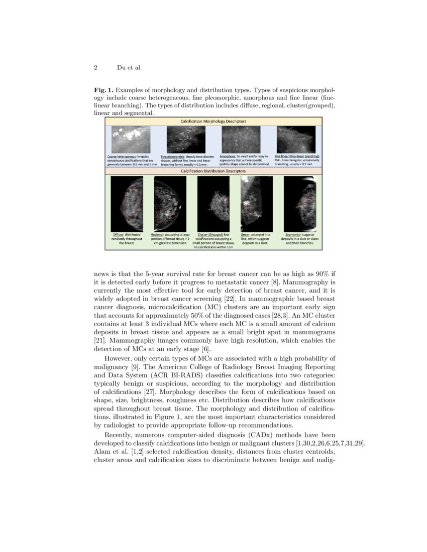 Multi-task Graph Convolutional Neural Network for Calcification Morphology and Distribution ...