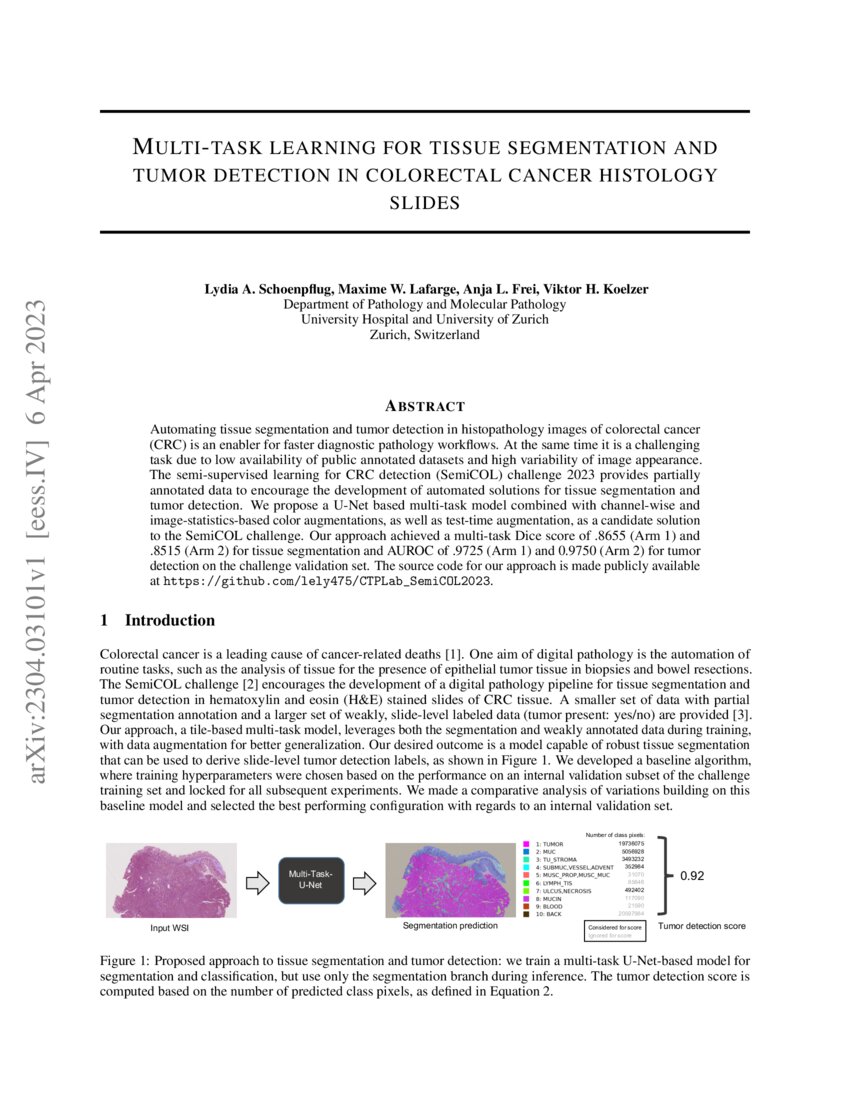 Multi Task Learning For Tissue Segmentation And Tumor Detection In