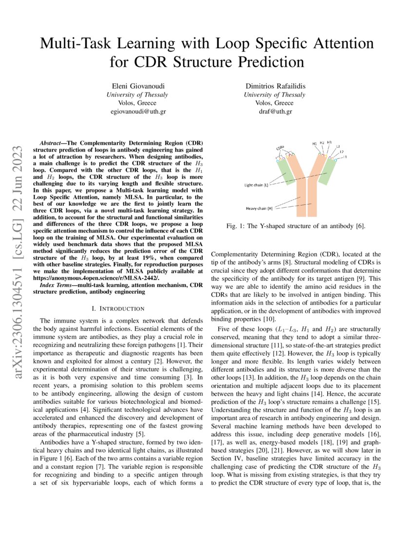 Multi Task Learning With Loop Specific Attention For Cdr Structure