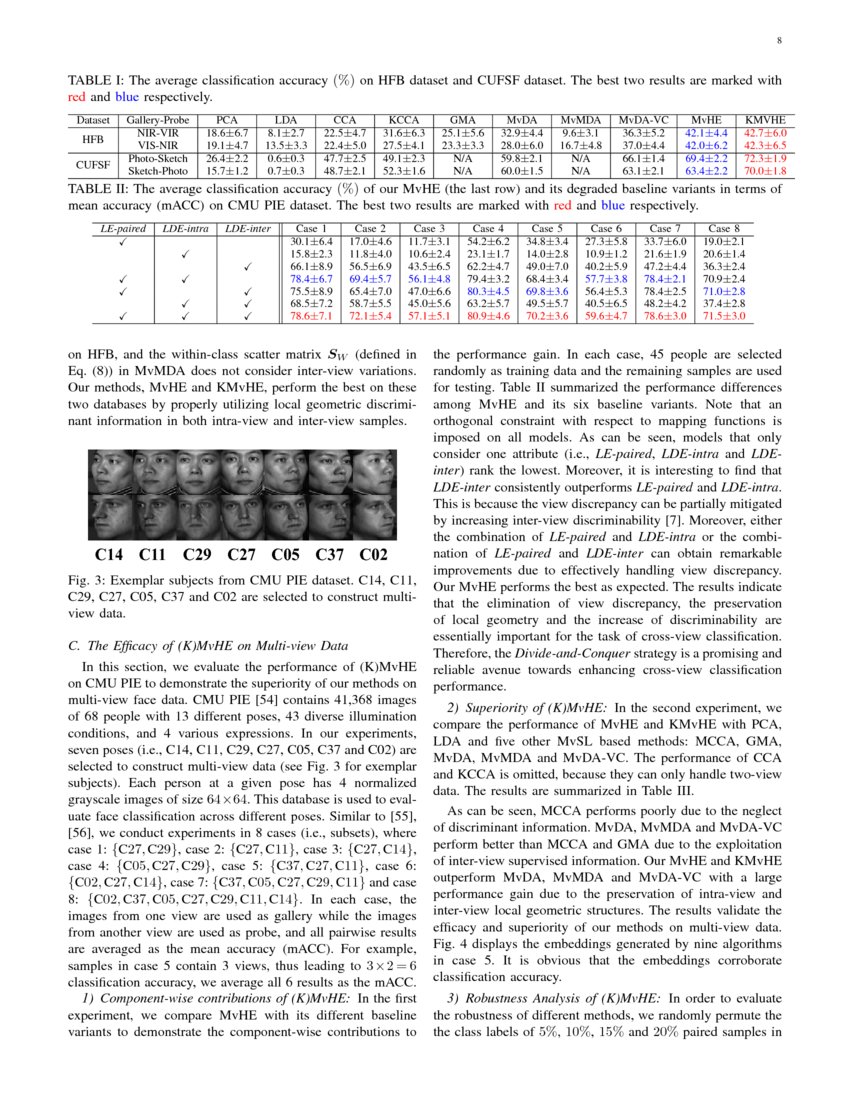 Multi View Hybrid Embedding A Divide And Conquer Approach Deepai