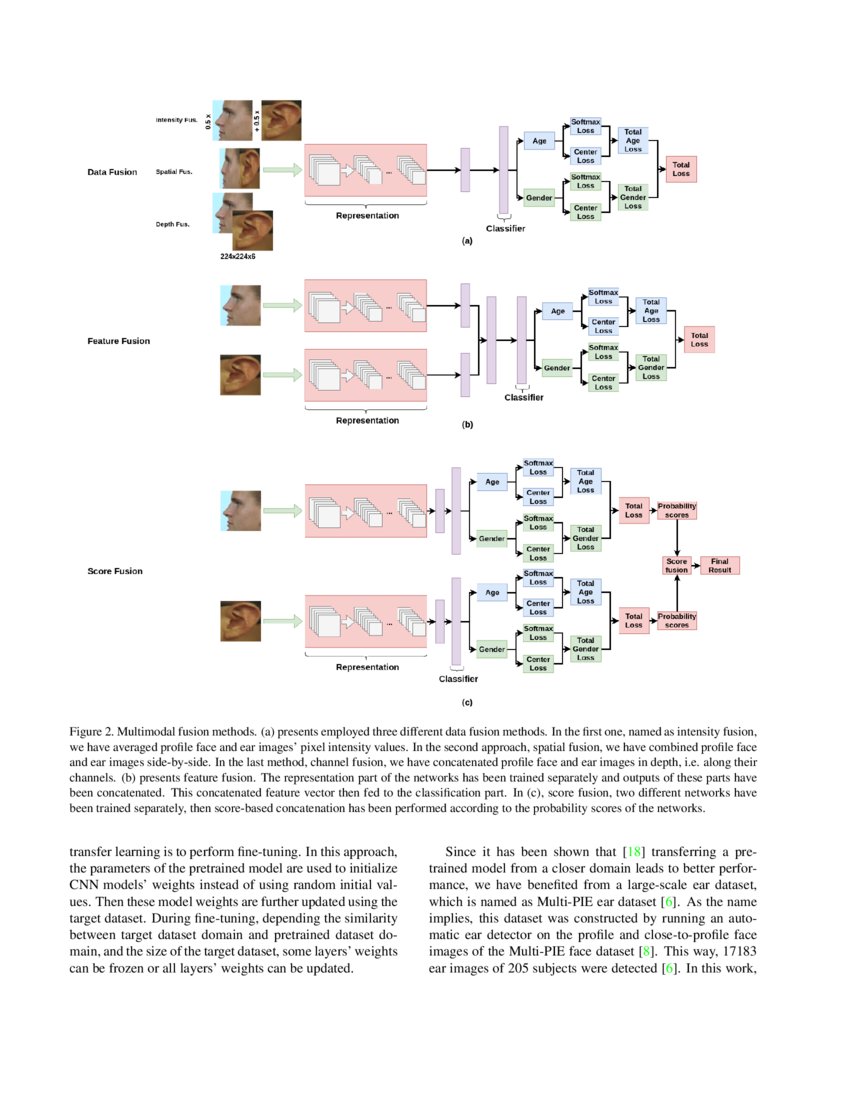Multimodal Age and Gender Classification Using Ear and Profile Face ...