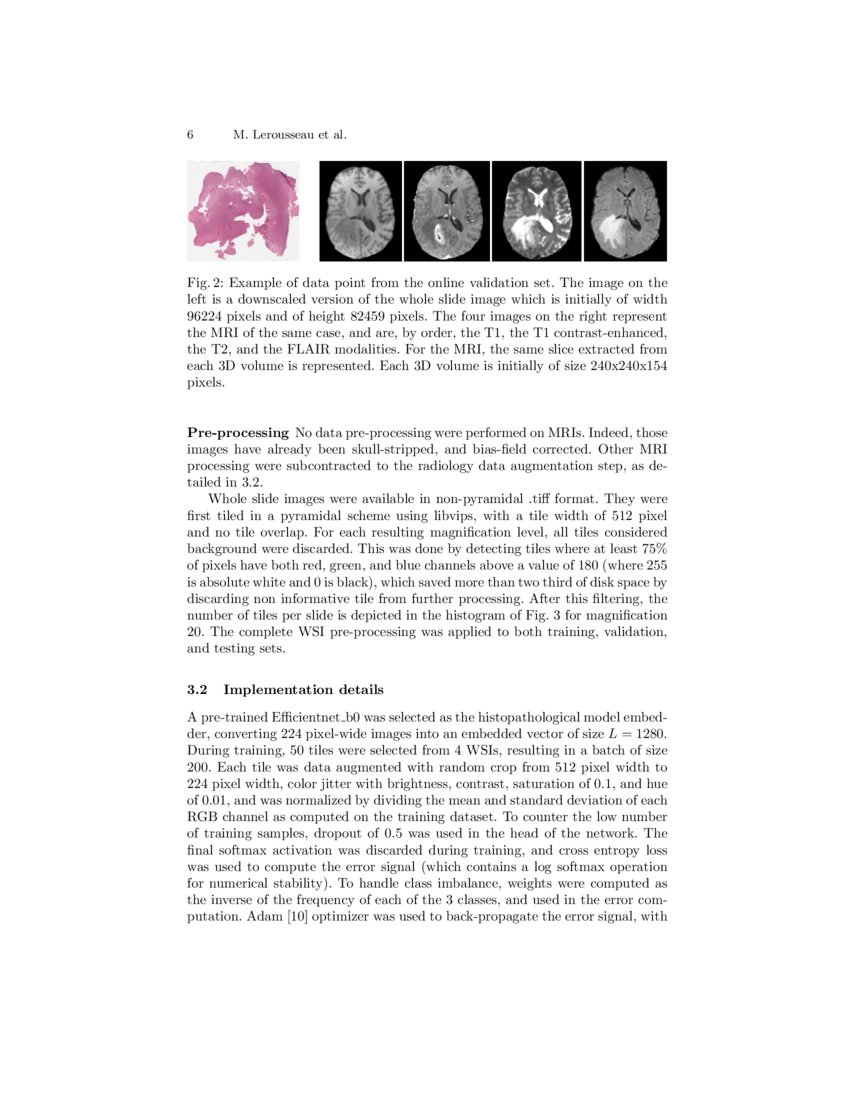 Multimodal Brain Tumor Classification Deepai