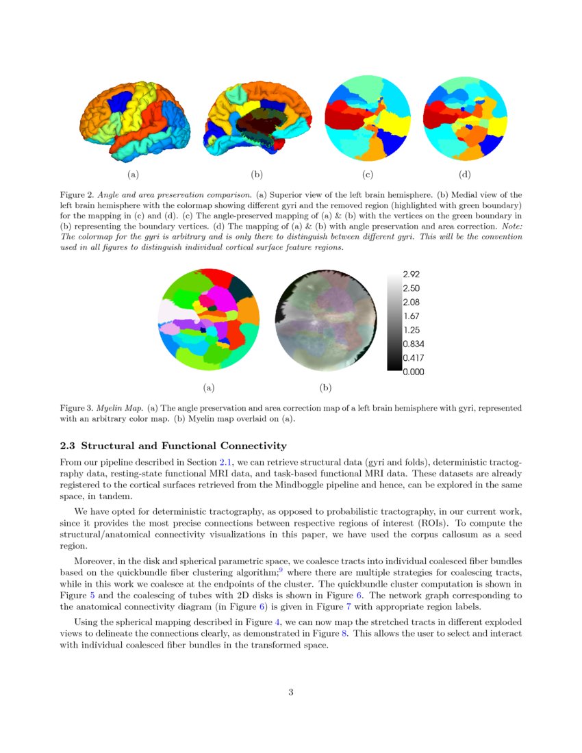 Multimodal Brain Visualization | DeepAI