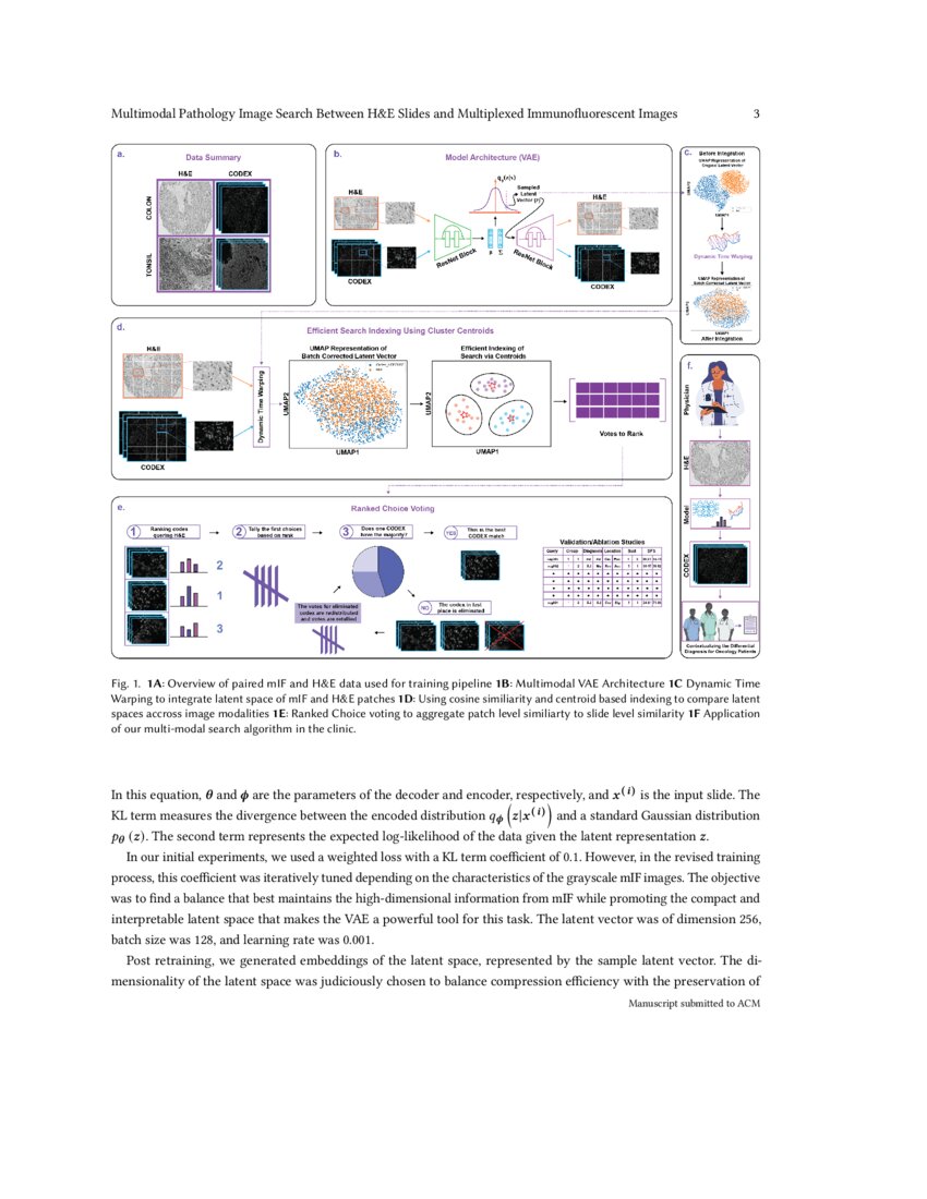 Multimodal Pathology Image Search Between H E Slides and Multiplexed ... Multimodal Pathology Image Search Between H E Slides and Multiplexed ...