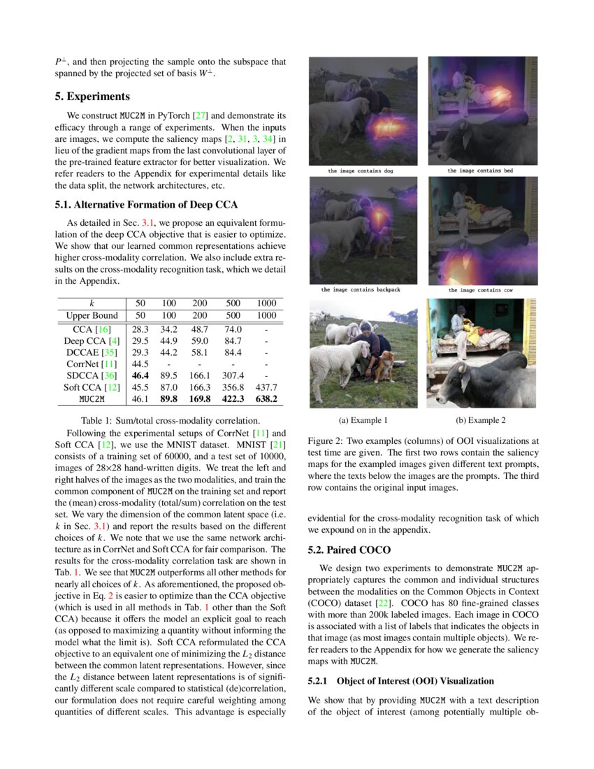 Multimodal Understanding Through Correlation Maximization And