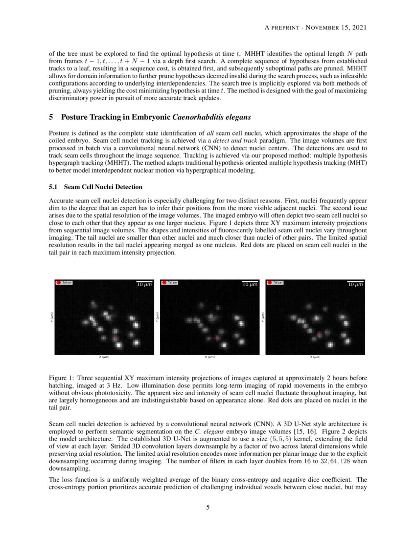 Multiple Hypothesis Hypergraph Tracking for Posture Identification in Embryonic Caenorhabditis ...