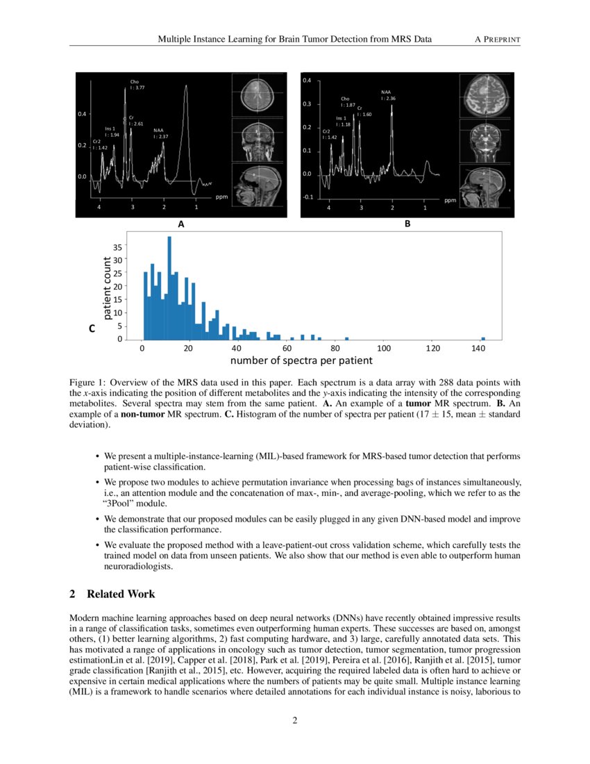 Multiple Instance Learning for Brain Tumor Detection from Magnetic ...