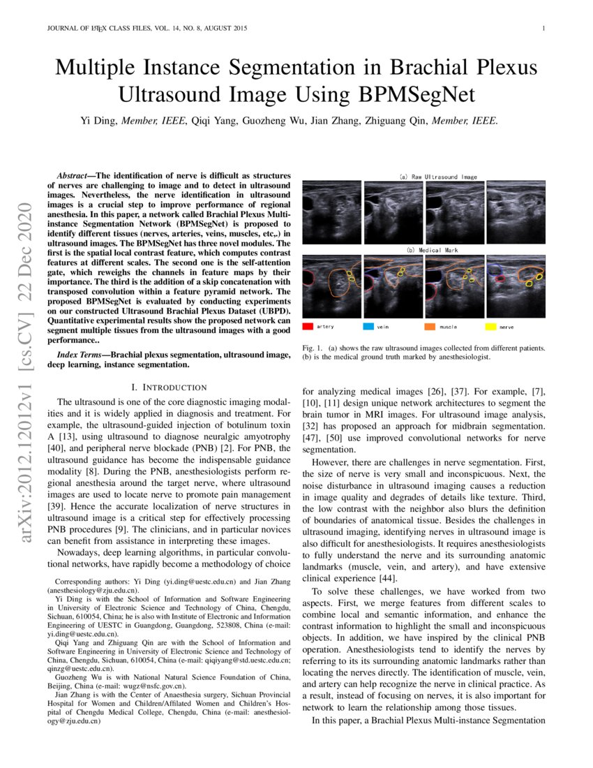 Multiple Instance Segmentation in Brachial Plexus Ultrasound Image Using BPMSegNet | DeepAI