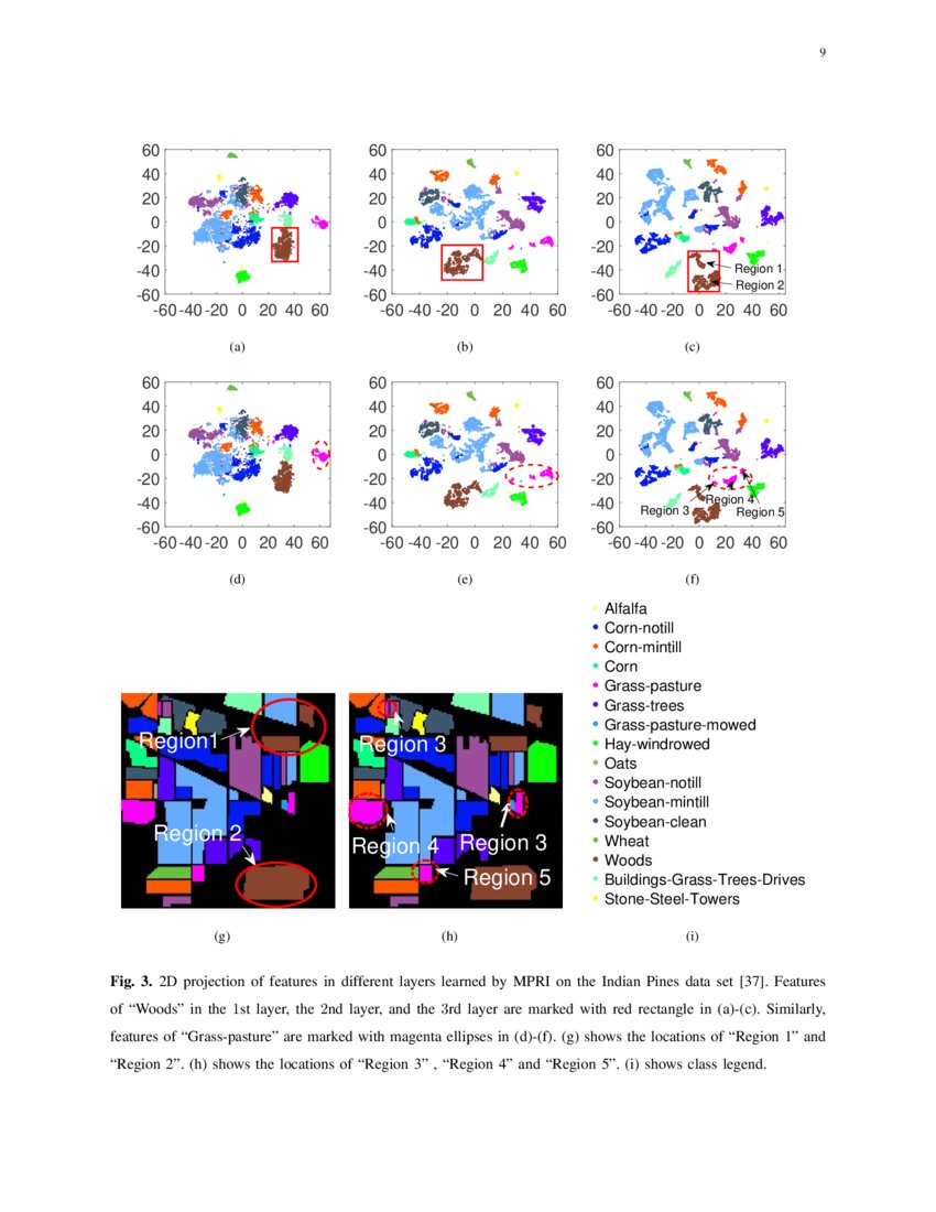 Multiscale Principle of Relevant Information for Hyperspectral Image Classification | DeepAI