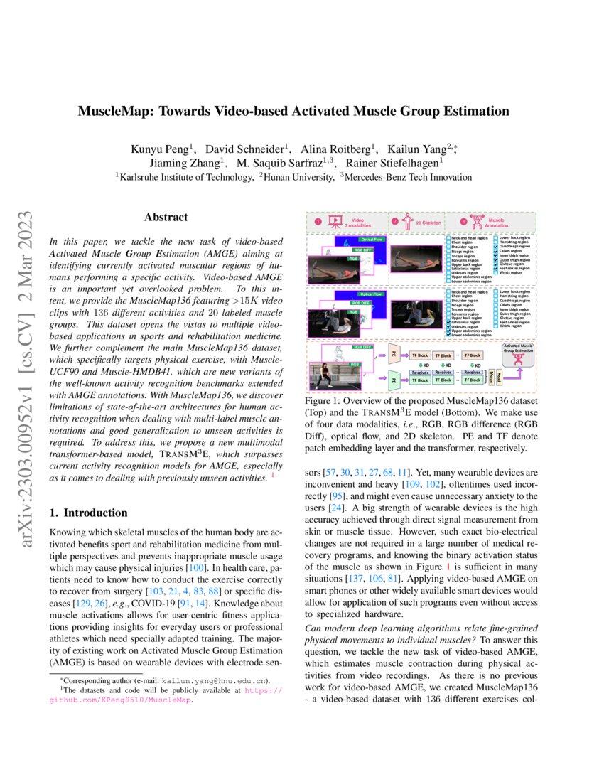 MuscleMap: Towards Video-based Activated Muscle Group Estimation | DeepAI
