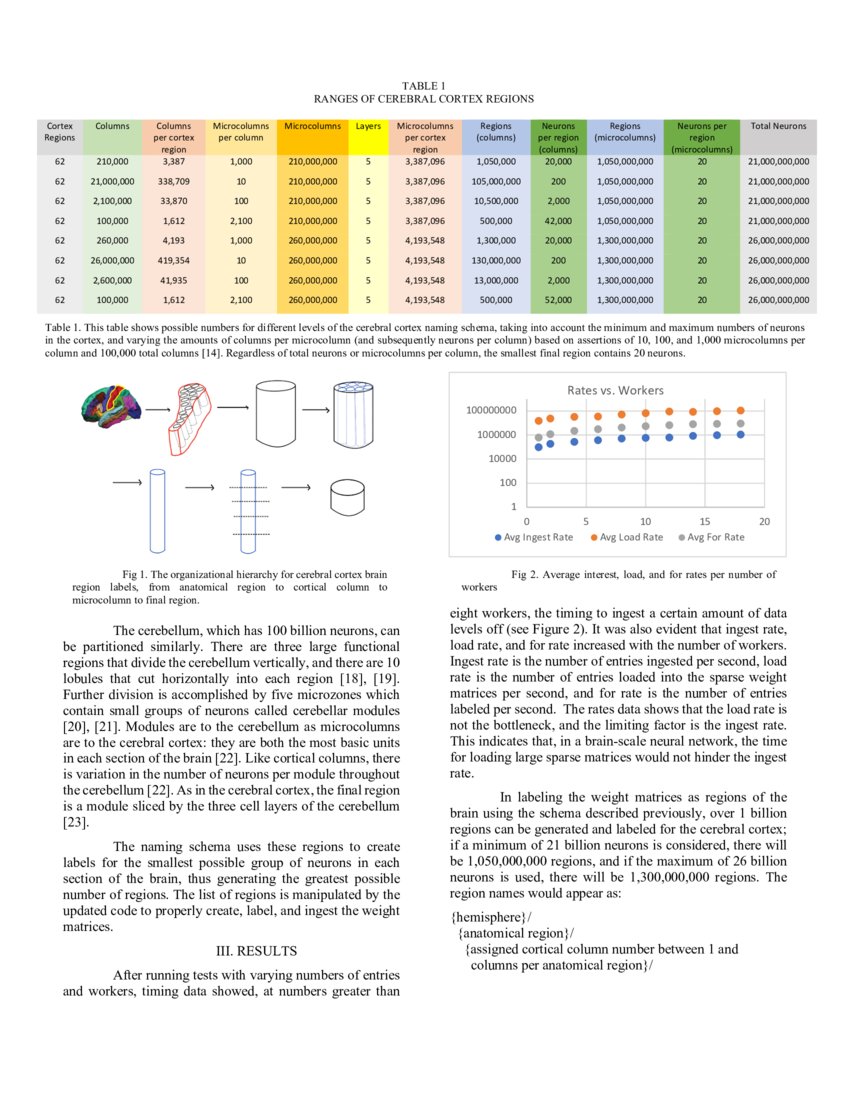 Naming Schema for a Human Brain-Scale Neural Network | DeepAI