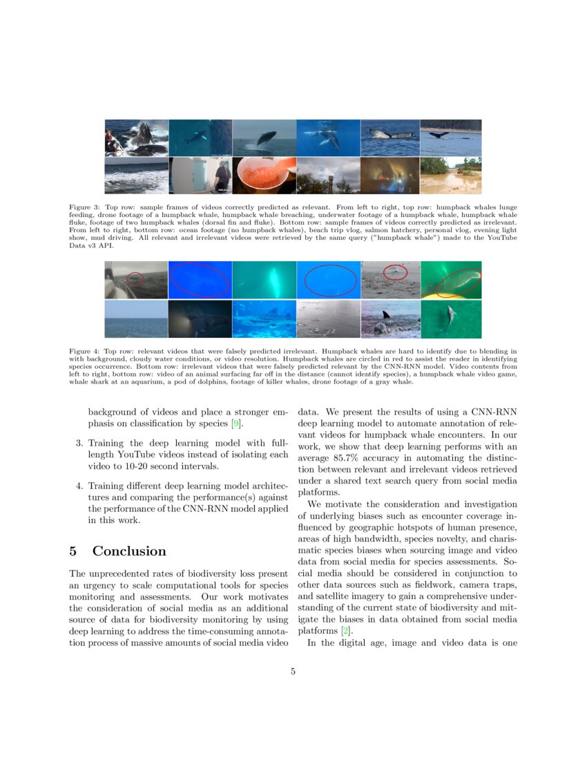 Navigating An Ocean Of Video Data Deep Learning For Humpback Whale Classification In Youtube