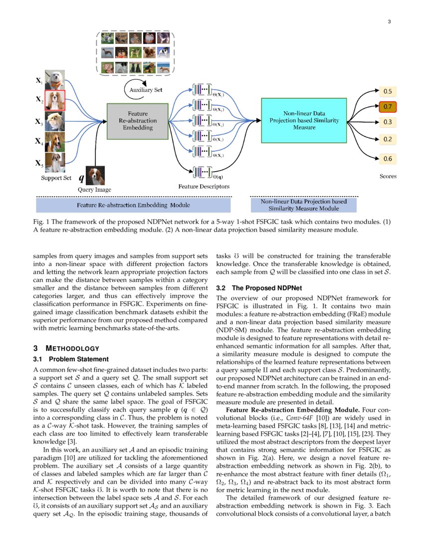 NDPNet: A novel non-linear data projection network for few-shot fine ...