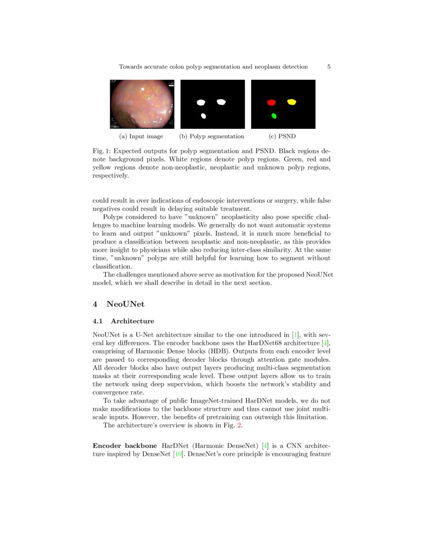 Neounet Towards Accurate Colon Polyp Segmentation And Neoplasm