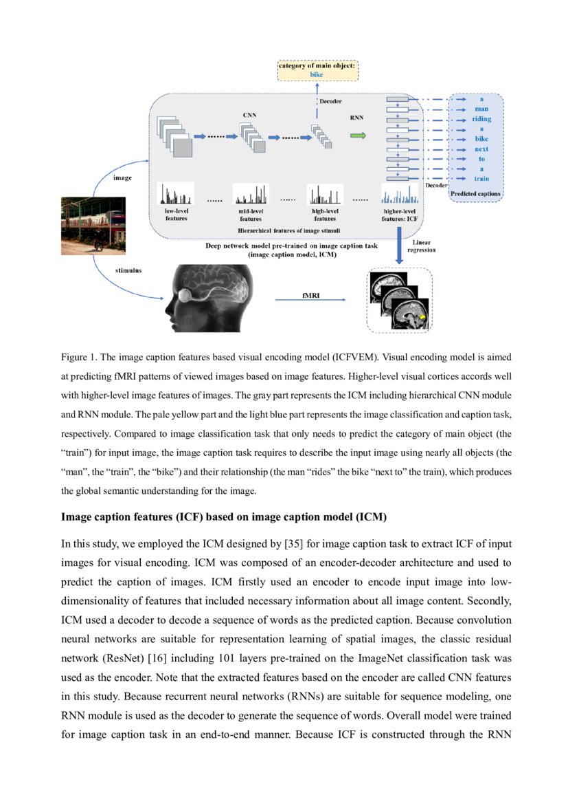 Neural encoding and interpretation for high-level visual cortices based ...