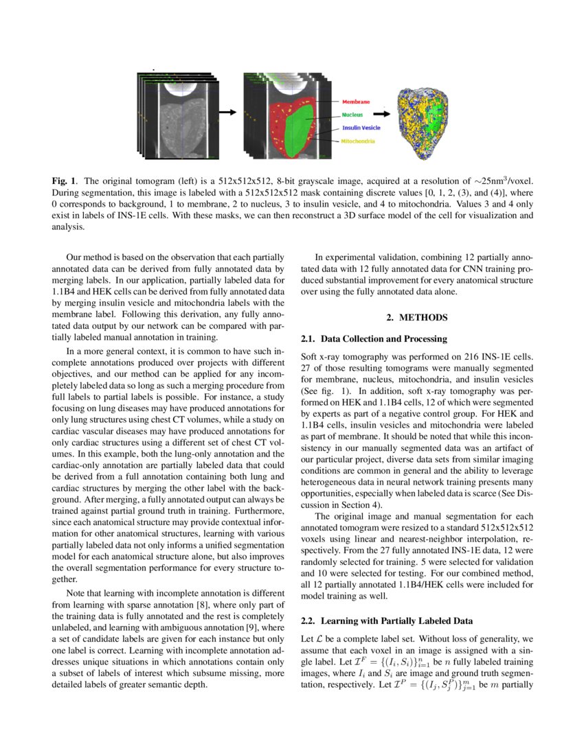 Neural Network Segmentation Of Cell Ultrastructure Using Incomplete Annotation Deepai