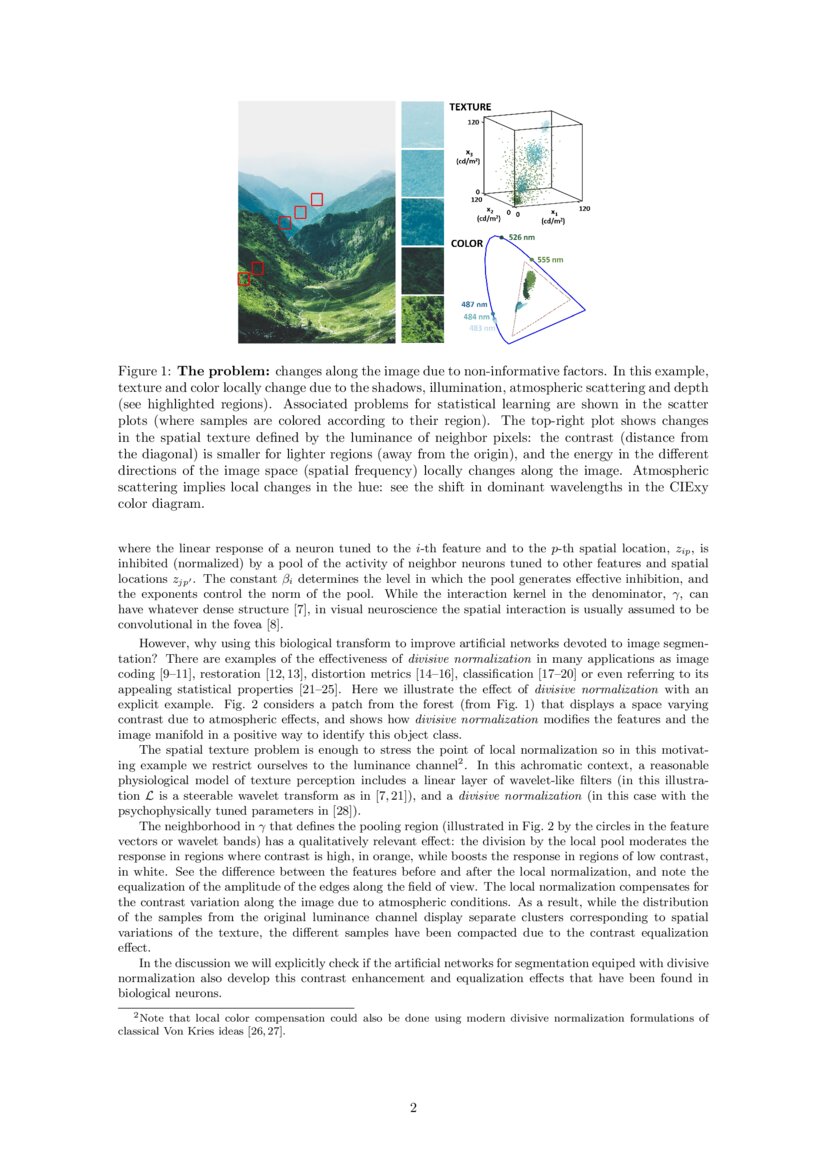 Neural Networks with Divisive normalization for image segmentation with application in ...
