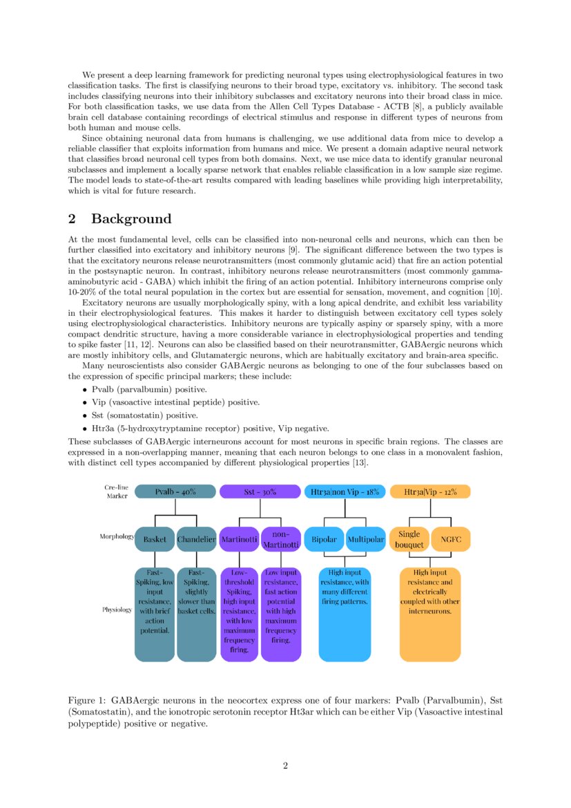 Neuronal Cell Type Classification using Deep Learning | DeepAI