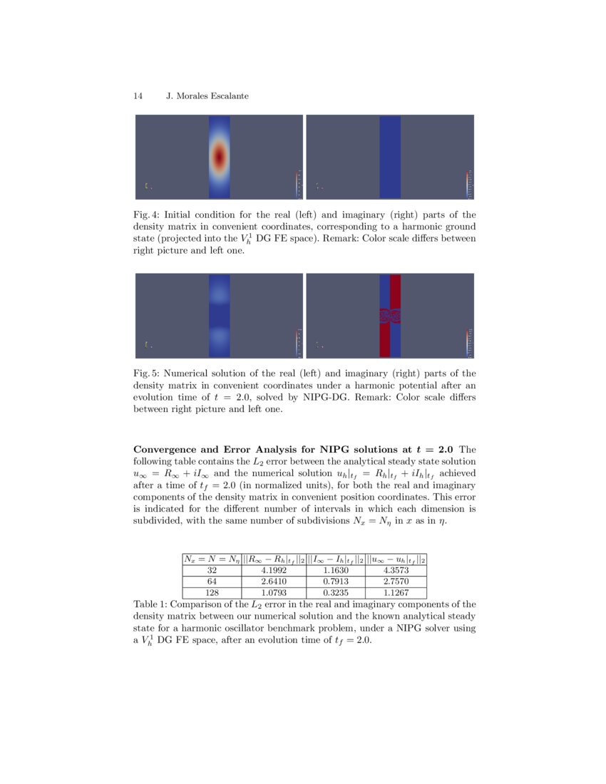 Nipg Dg Schemes For Transformed Master Equations Modeling Open Quantum