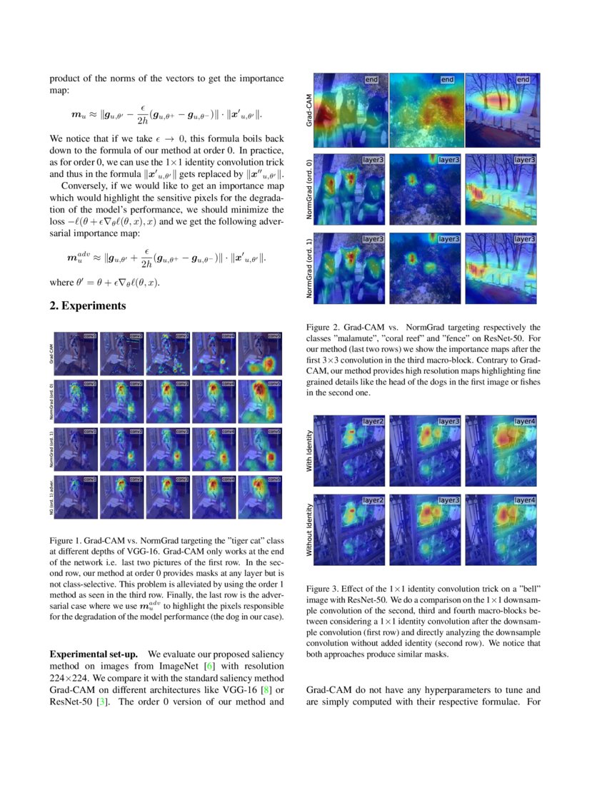 NormGrad: Finding the Pixels that Matter for Training | DeepAI