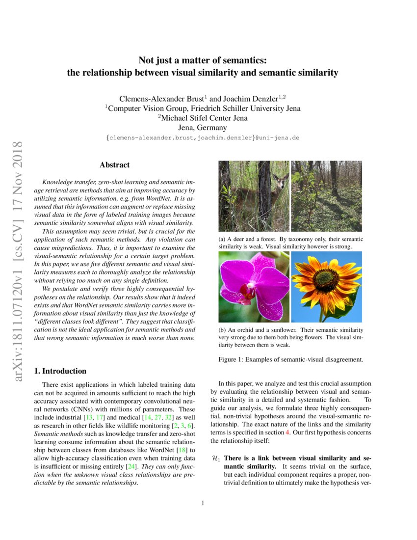 Not just a matter of semantics: the relationship between visual ...