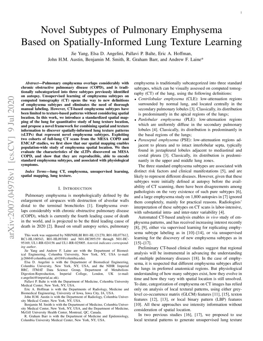 Novel Subtypes of Pulmonary Emphysema Based on Spatially-Informed Lung ...