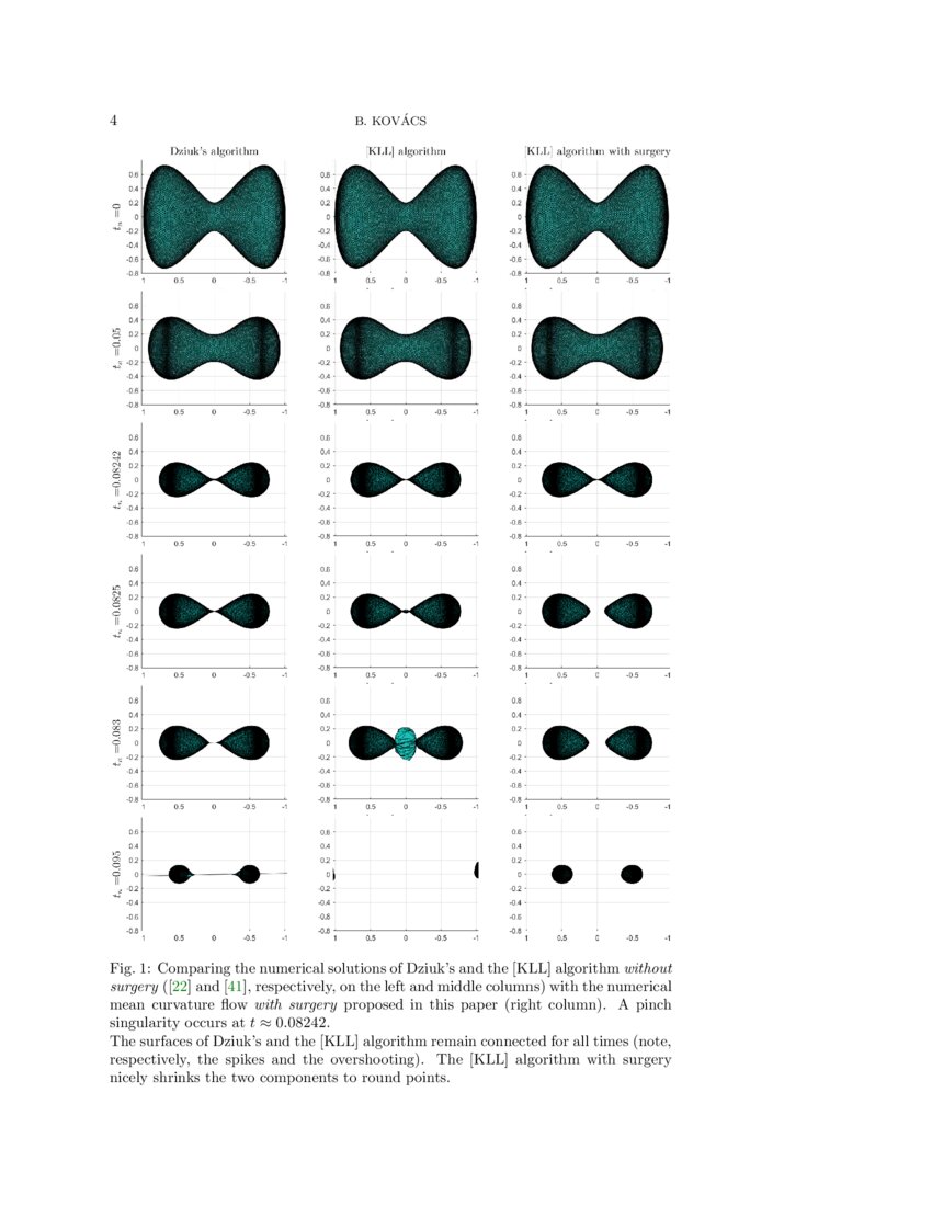 Numerical surgery for mean curvature flow of surfaces | DeepAI