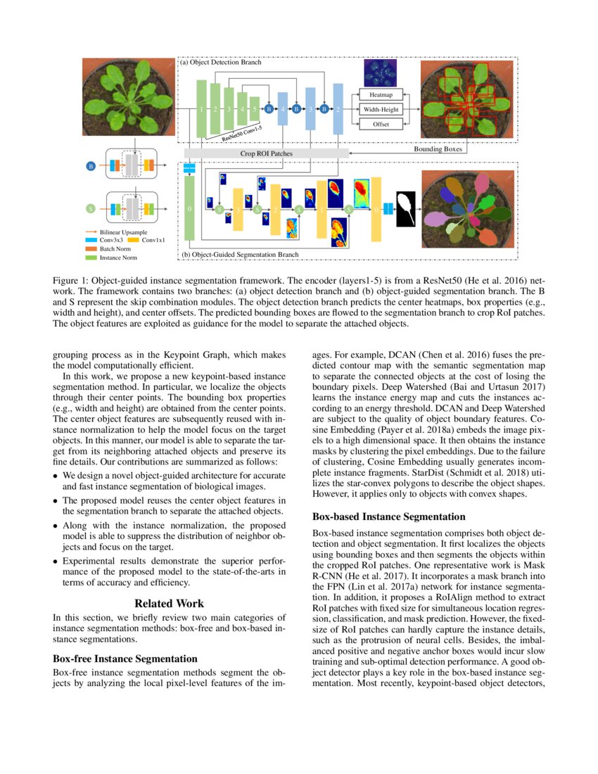 Object Guided Instance Segmentation For Biological Images Deepai