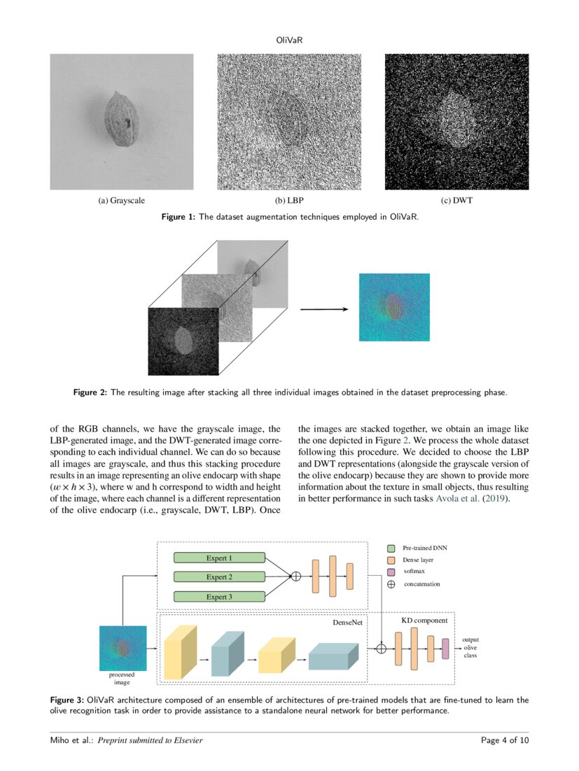 OliVaR: Improving Olive Variety Recognition using Deep Neural Networks | DeepAI