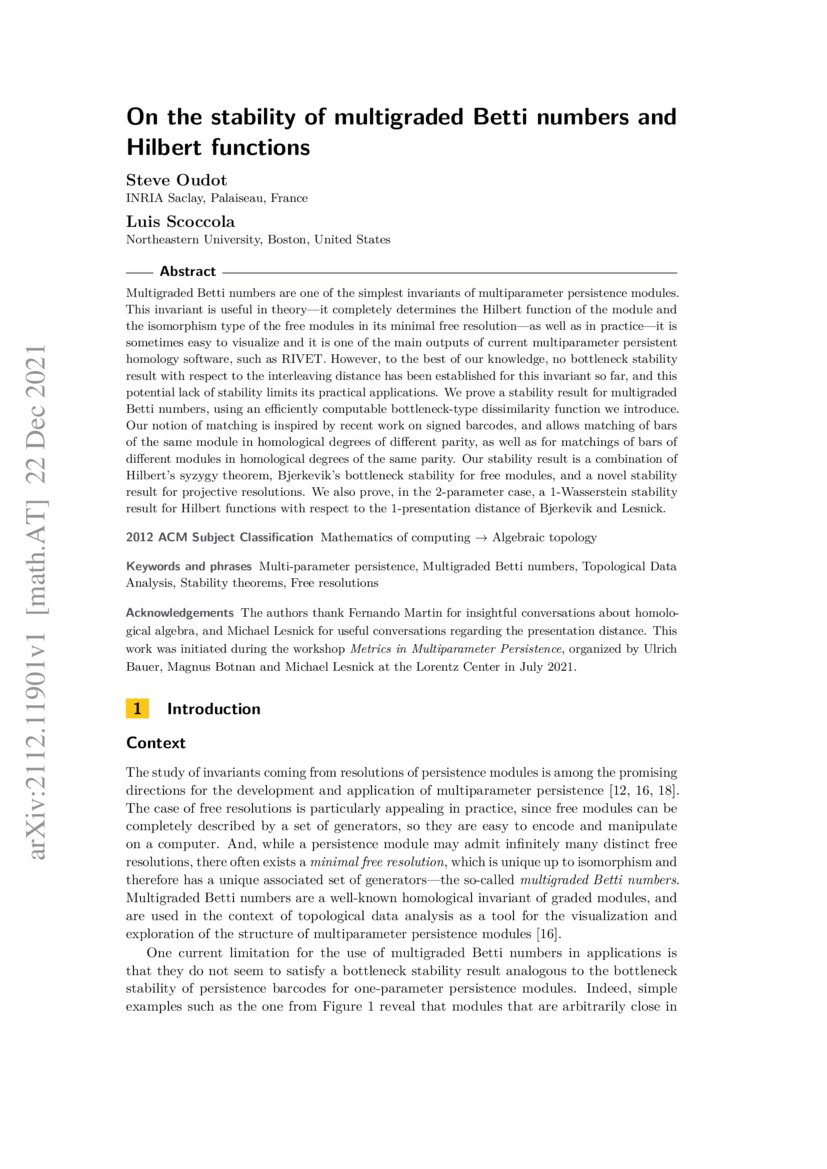 On the stability of multigraded Betti numbers and Hilbert functions ...