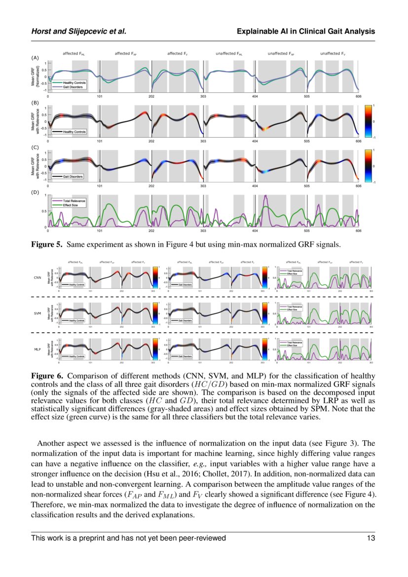 On The Understanding And Interpretation Of Machine Learning Predictions In Clinical Gait
