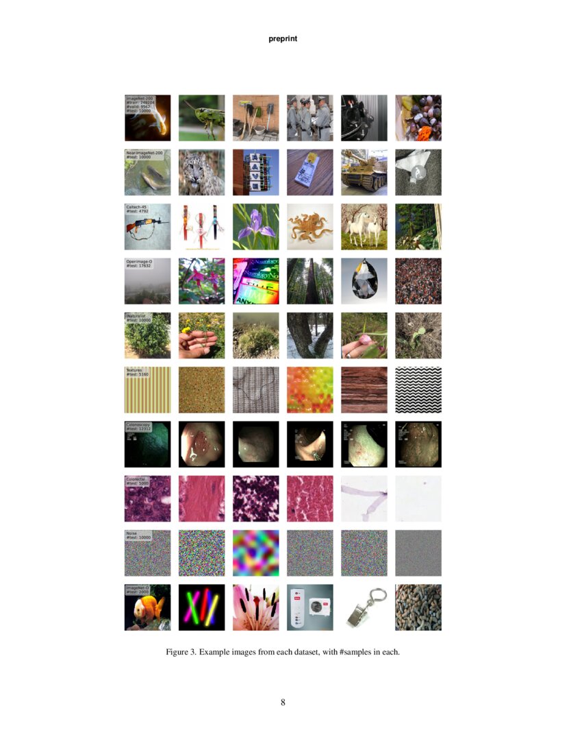 On The Usefulness Of Deep Ensemble Diversity For Out Of Distribution
