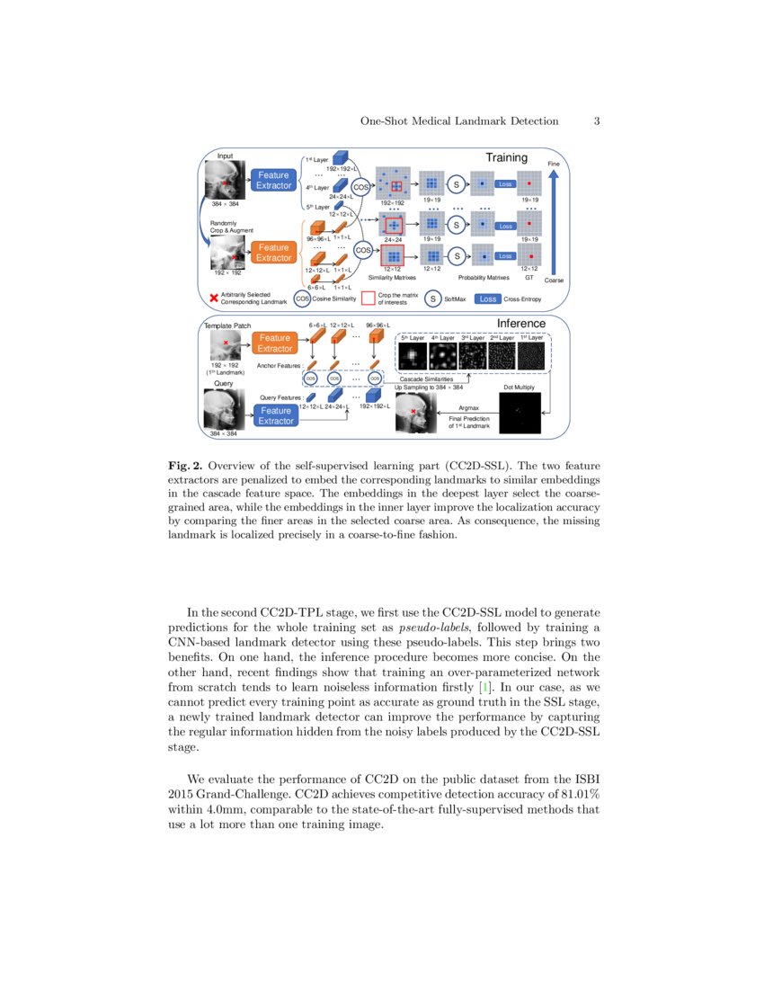 One-Shot Medical Landmark Detection | DeepAI