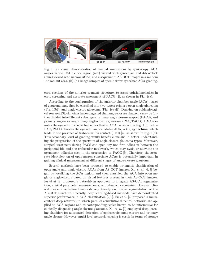 Open-Narrow-Synechiae Anterior Chamber Angle Classification in AS-OCT ...