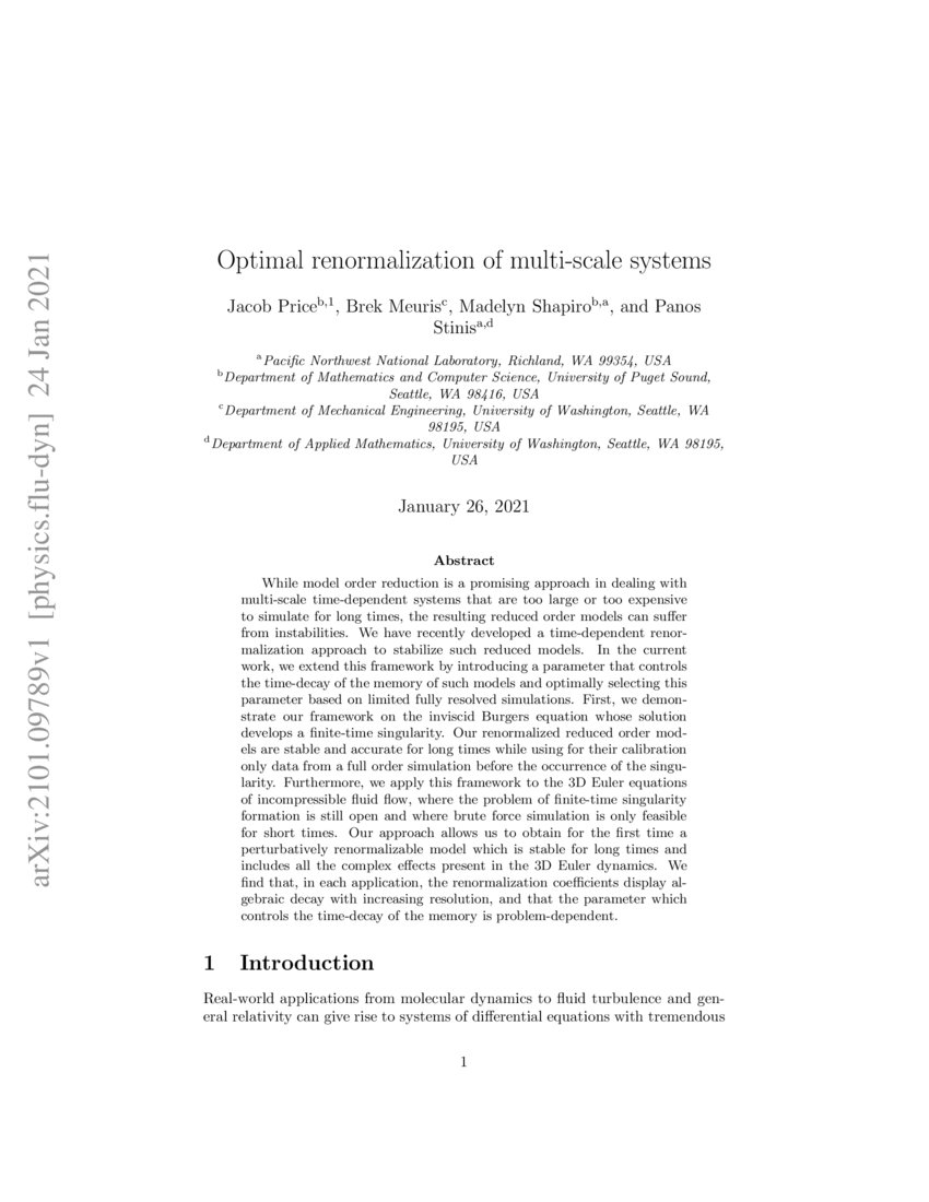 Optimal renormalization of multi-scale systems | DeepAI